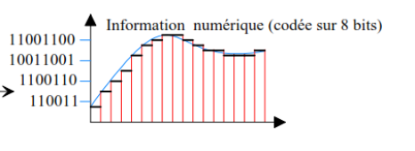 Acquisition et codage de l'information - Cas concret : Convertir l ...